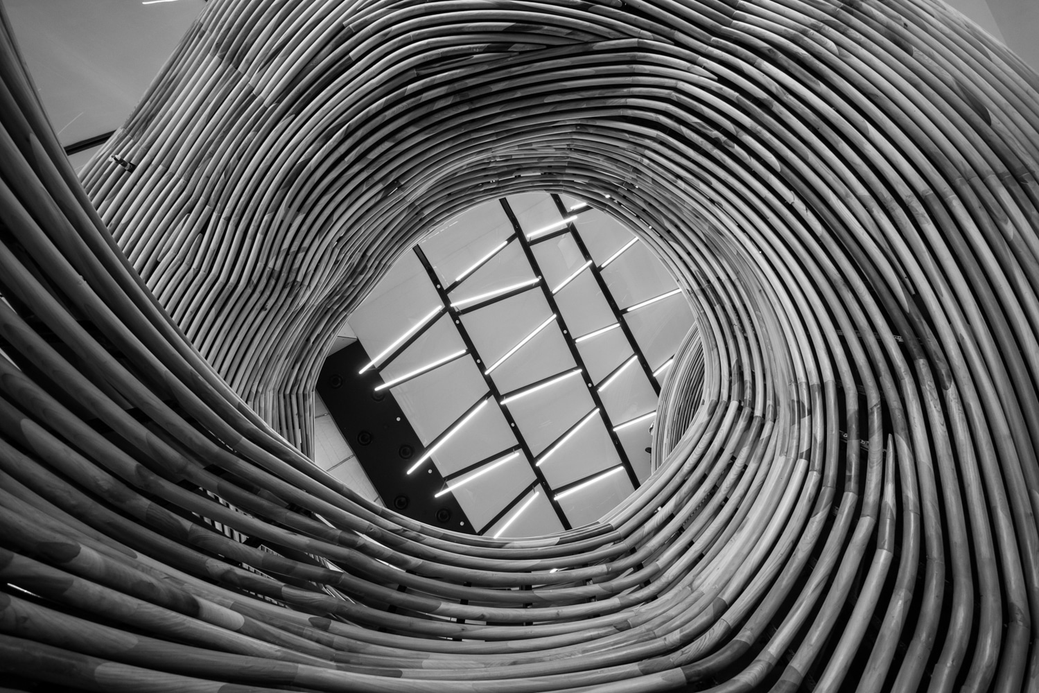 Project management and execution companies - TG